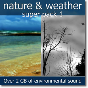 Miss Peters' Education Station: Weather Investigation Box